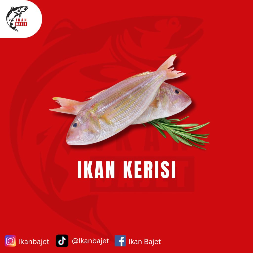 Ikan Bajet | Menjual Hasil Laut Gred A – Kami menjual hasil laut gred A ...