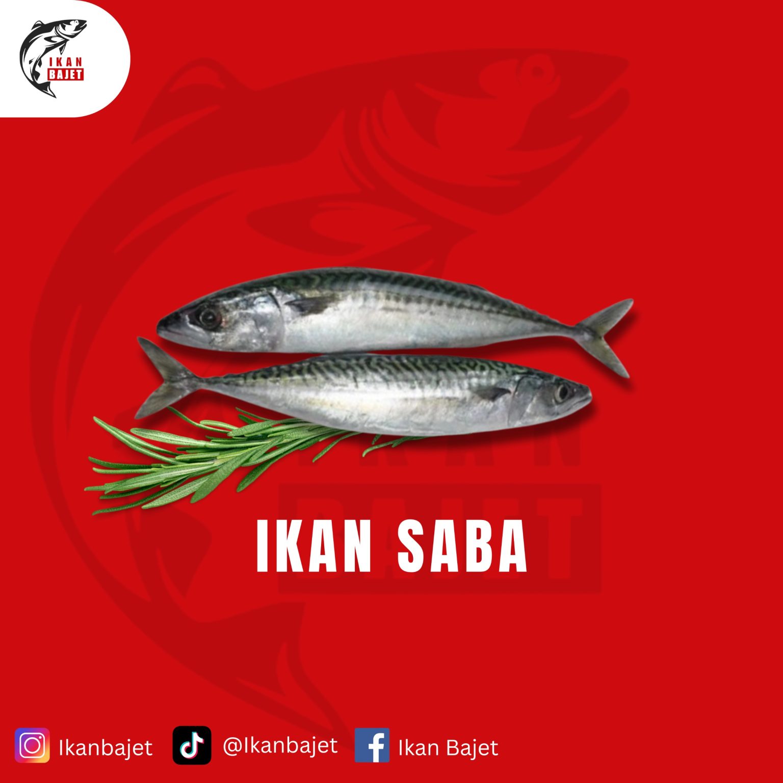 Ikan Bajet | Menjual Hasil Laut Gred A – Kami menjual hasil laut gred A ...