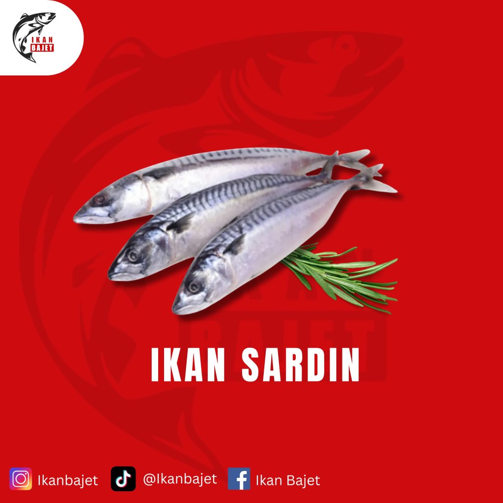 Ikan Bajet | Menjual Hasil Laut Gred A – Kami menjual hasil laut gred A ...