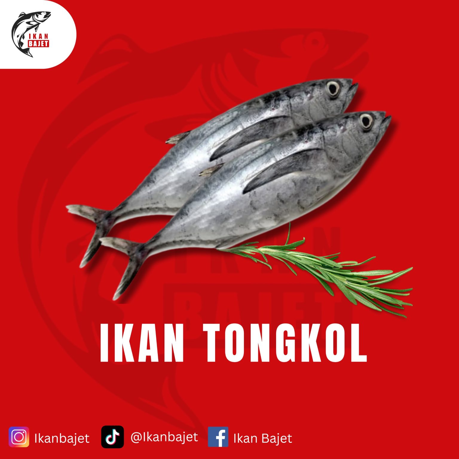 Ikan Bajet | Menjual Hasil Laut Gred A – Kami menjual hasil laut gred A ...